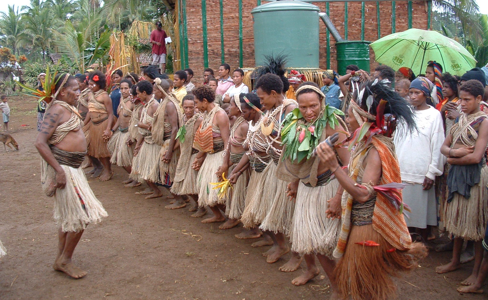 Mt. Bosavi Region - Seacology