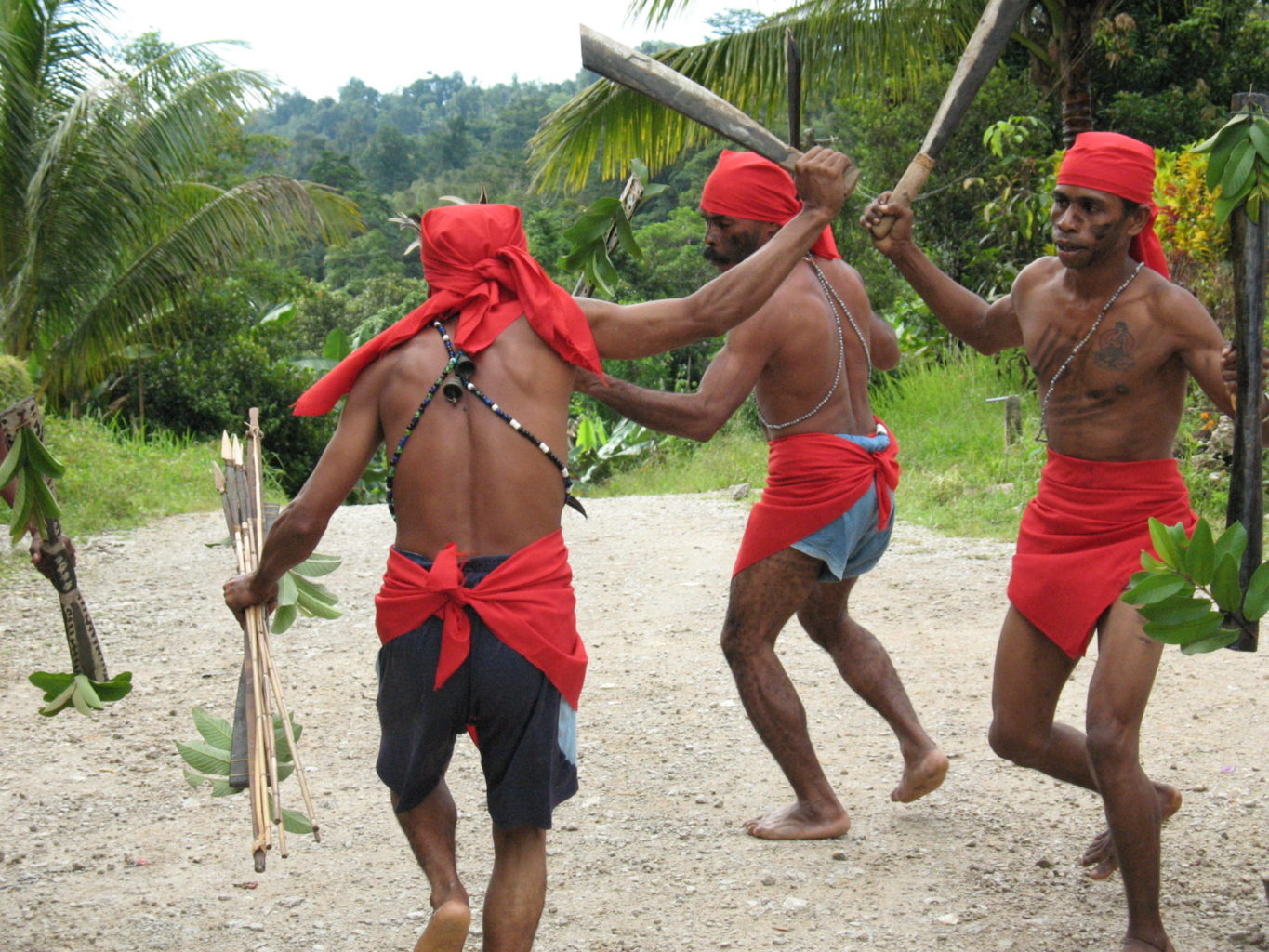 Seram Island - Seacology