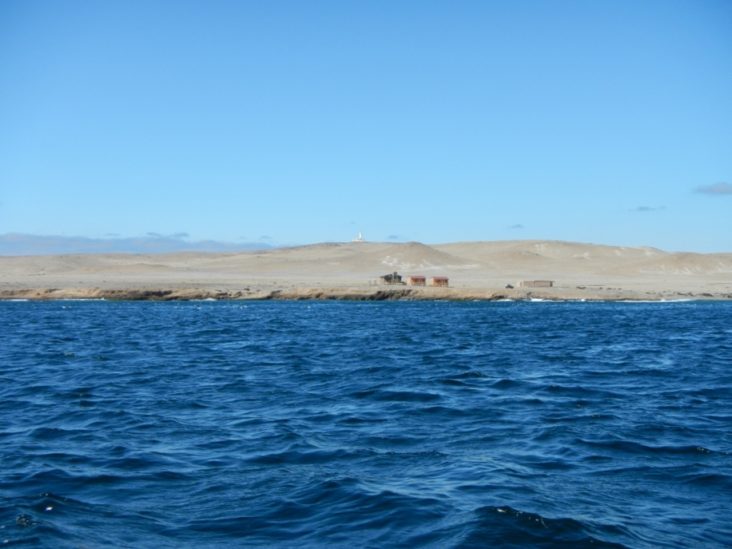 Isla Natividad - Seacology