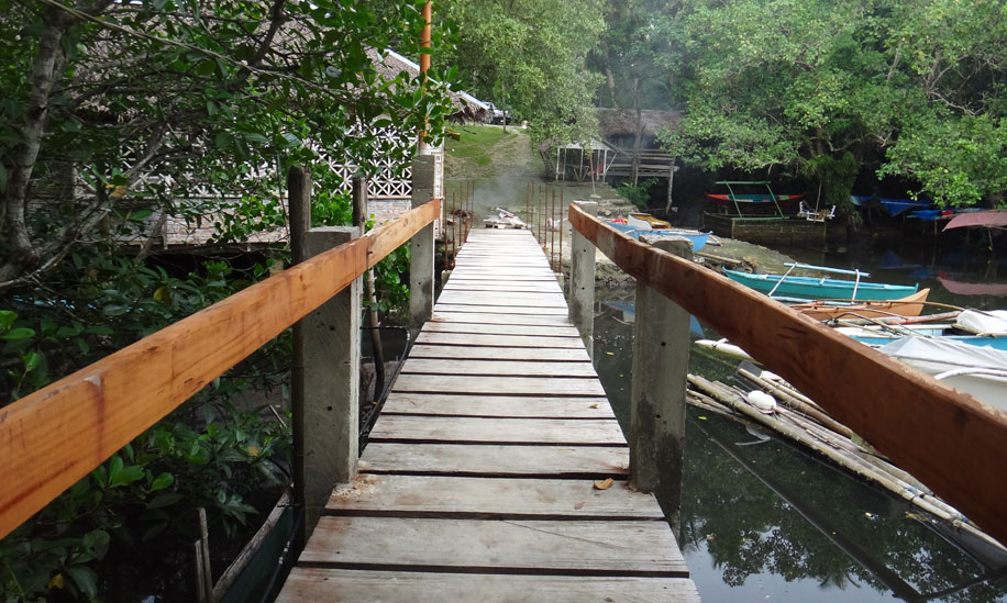 Boardwalk through mangrove forest in the Philippines nearly complete - Seacology