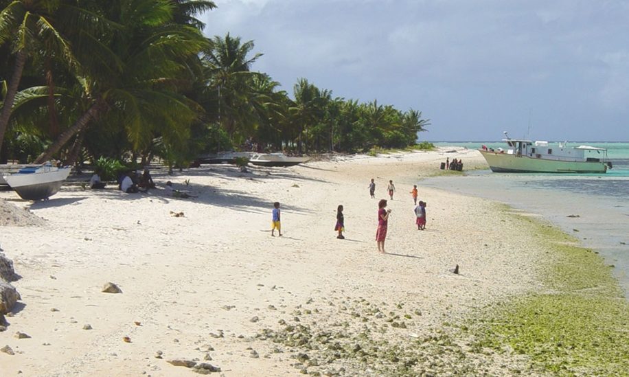 Seacology | Ailuk Atoll | Seacology