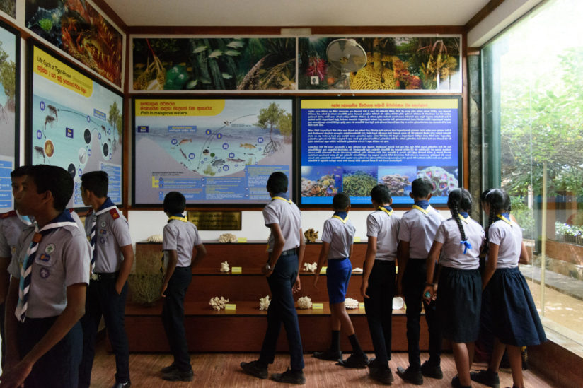 Lanka Mangrove Museum and Learning Center - Seacology