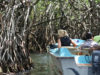 Seacology | Conservation organization preserving island environments ...