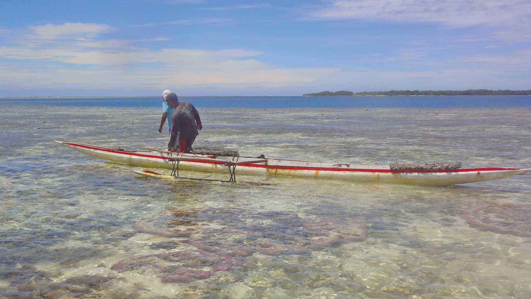 Celebrating 25 years of innovative island conservation - Seacology