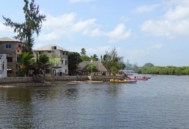 Matondoni Village - Seacology
