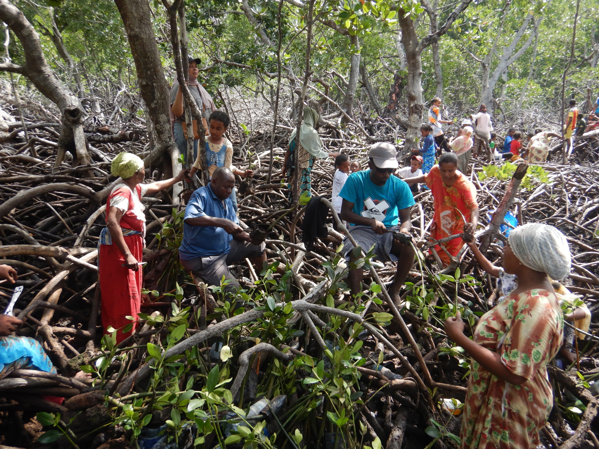 Kenyan community comes together to keep a historical treasure green ...