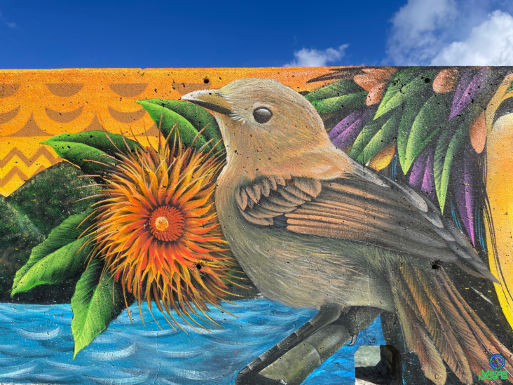 Cook Islanders celebrate a vivid new monument to conservation and ...