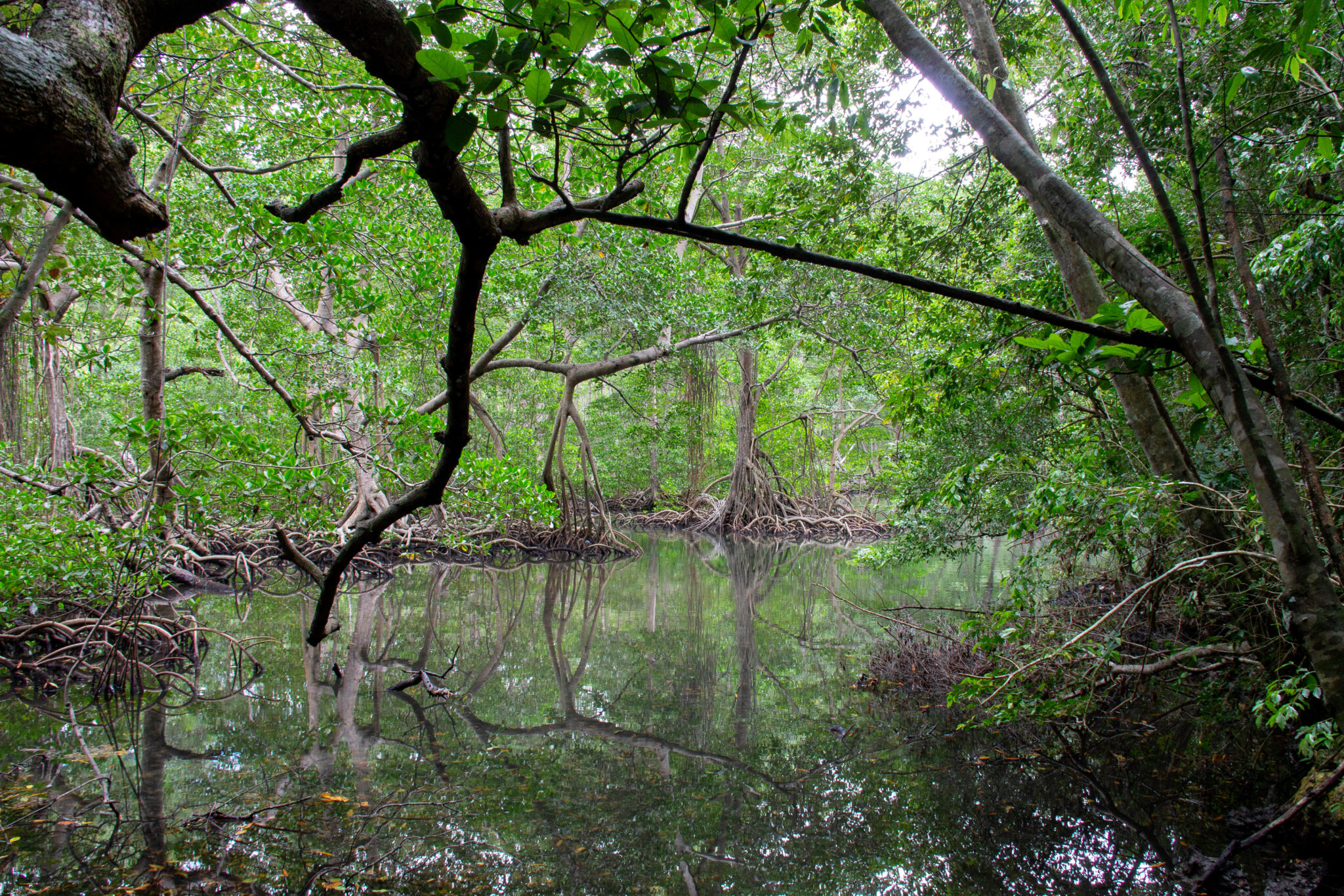 San Lorenzo Bay - Seacology