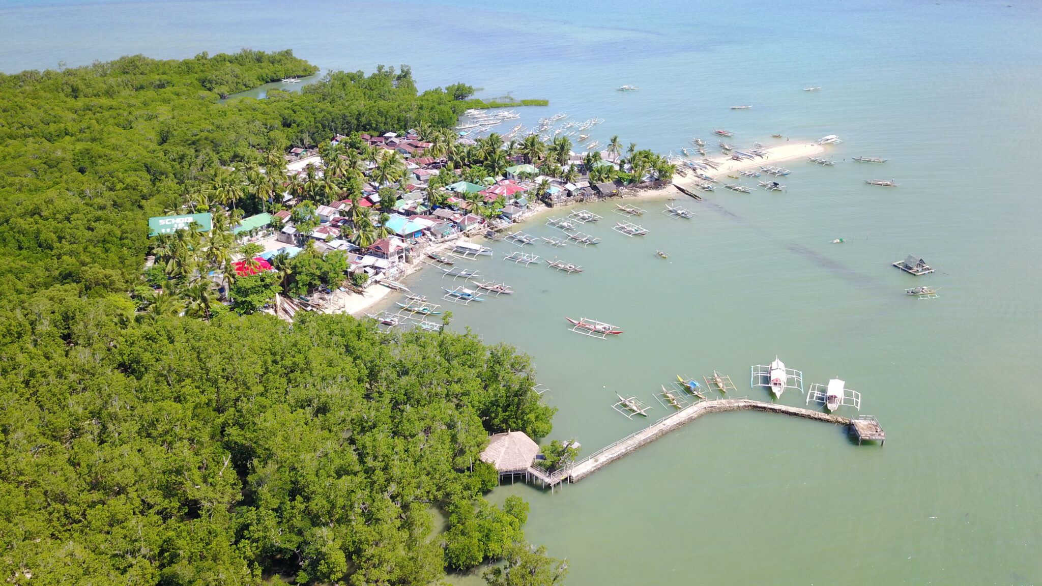 Suyac Island - Seacology