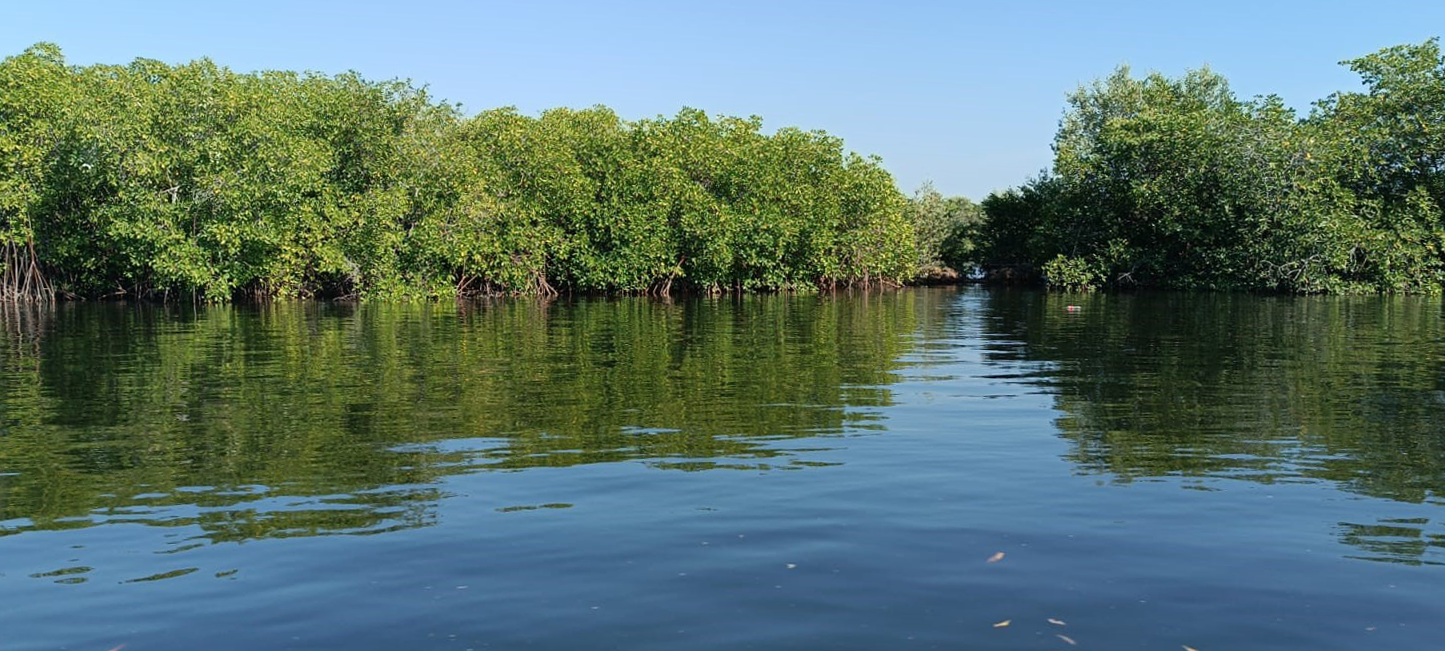 San Sebastián Island - Seacology