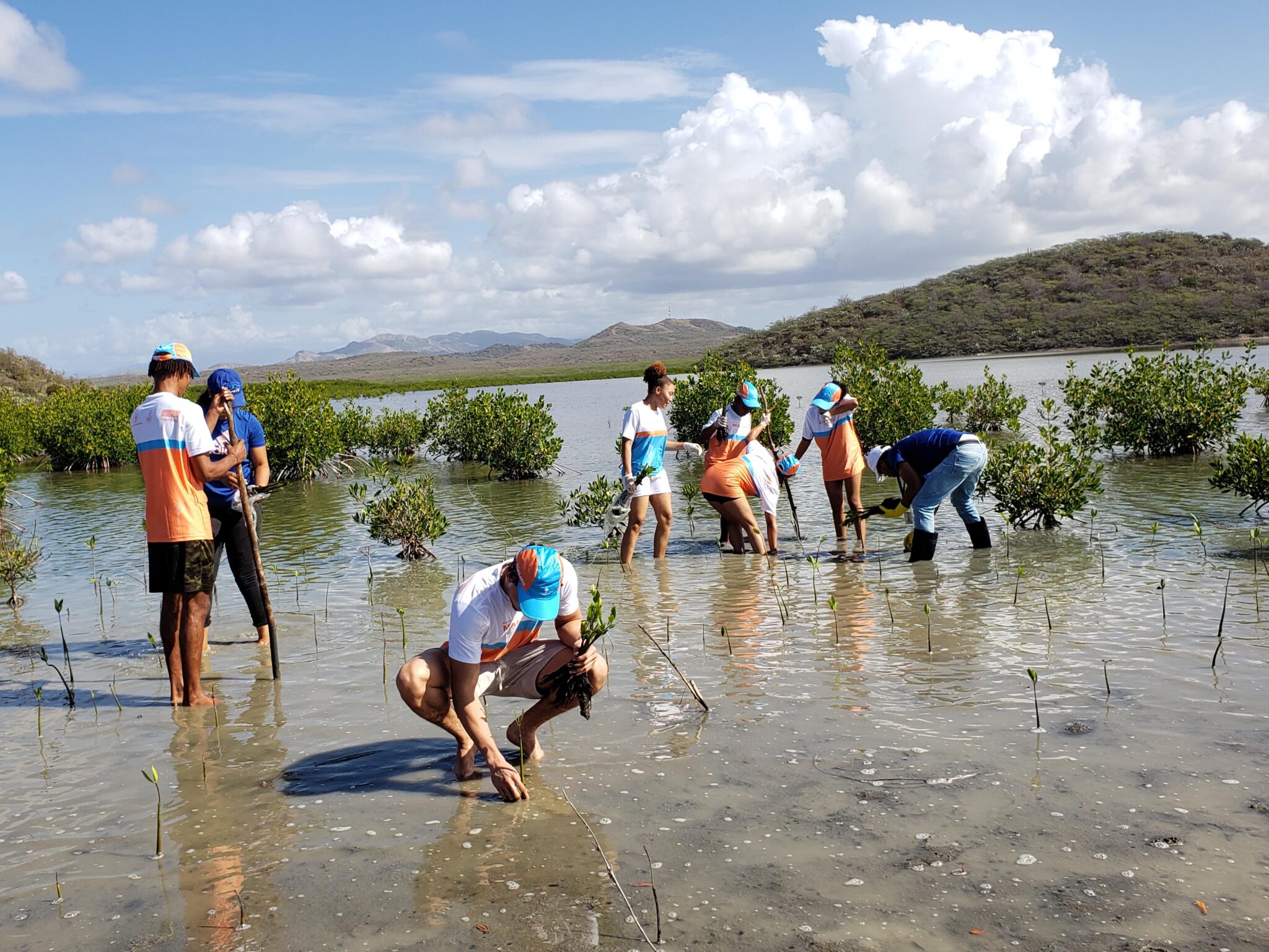 Happy World Mangrove Day! - Seacology