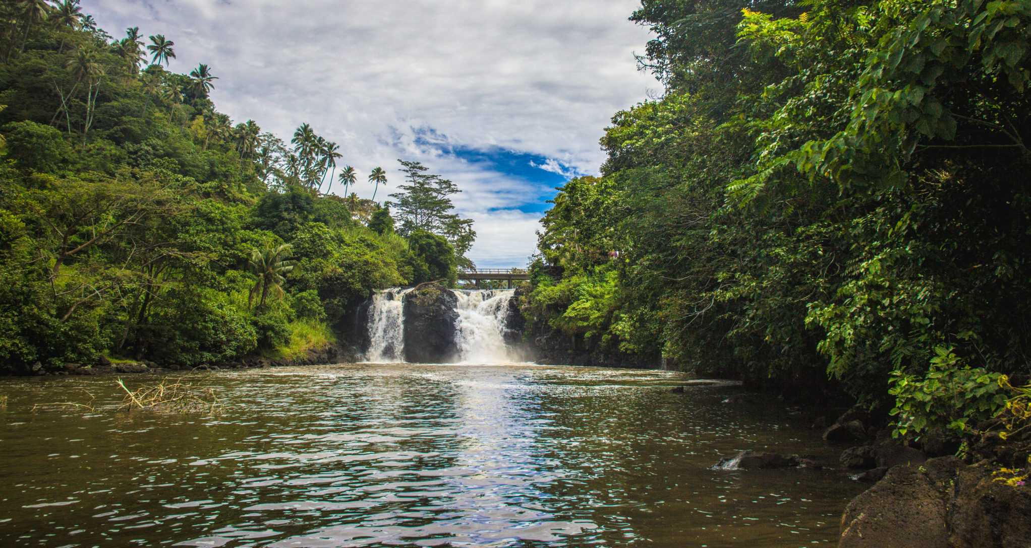 Looking back on a year of successful conservation - Seacology