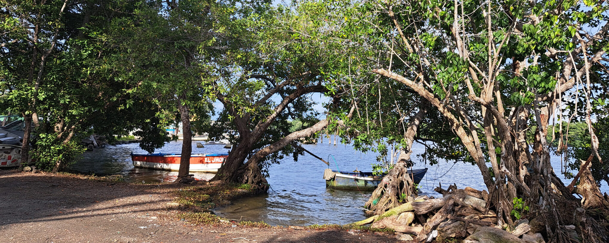Boca del Soco - Seacology